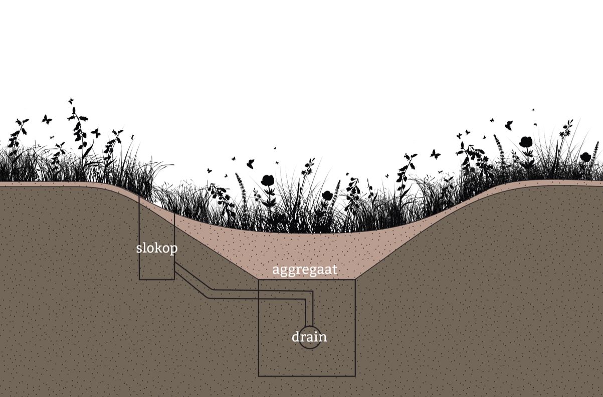 Wadi & bulb planting | JUB Holland